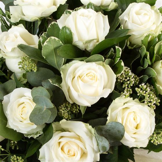 Dozen Long Stemmed White Roses Murtons Florist Ipswich